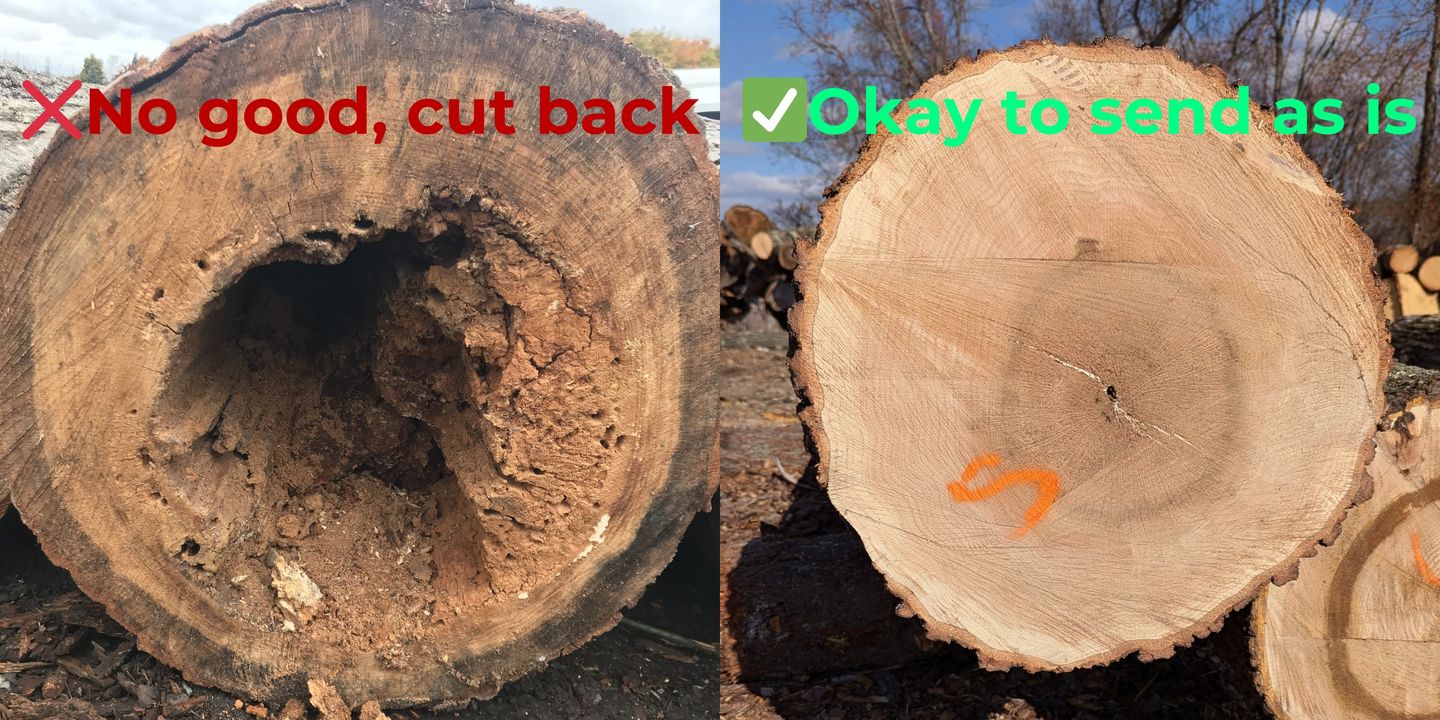 Log Prep Tip of the Week: Early Stage Rot Pockets - Mill Market